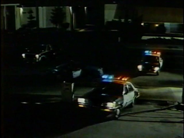 IMCDb.org: 1983 Ford LTD in "Wishman, 1983"