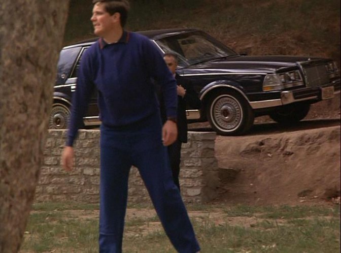 IMCDb.org: 1984 Lincoln Continental in "Scarecrow and Mrs. King, 1983-1987"