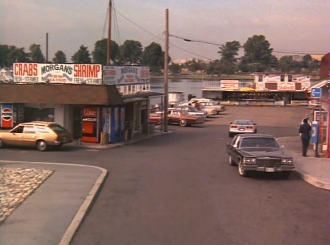 IMCDb.org: 1983 Cadillac Fleetwood Brougham in "Scarecrow and Mrs. King, 1983-1987"