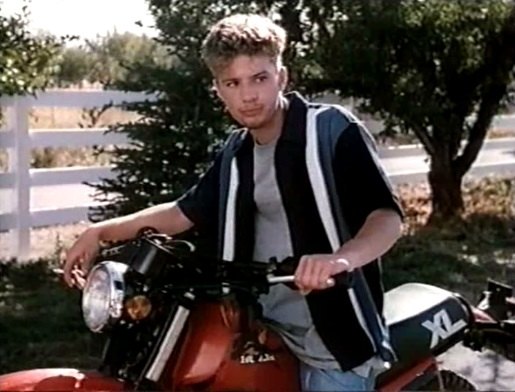 IMCDb.org: Honda XL 250 R in "Deadly Invasion: The Killer Bee Nightmare, 1995"