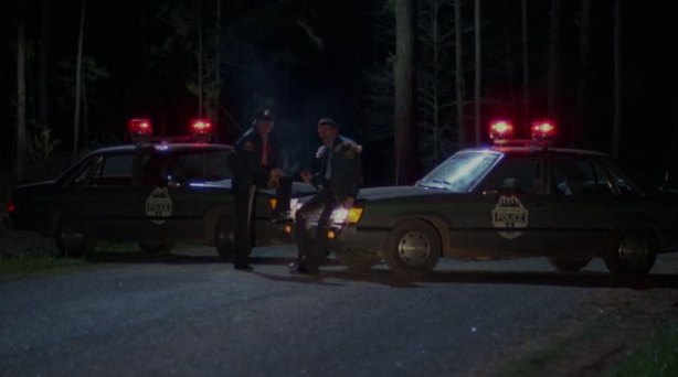IMCDb.org: 1985 Ford LTD in "Friday the 13th Part VI: Jason Lives, 1986"