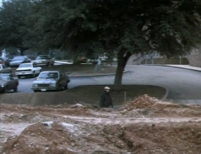 IMCDb.org: 1980 Buick Skylark in "Firehead, 1991"