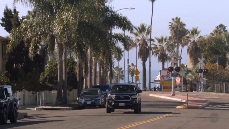 IMCDb.org: 2013 Subaru XV Crosstrek [GP] in "Animal Kingdom, 2016-2022"