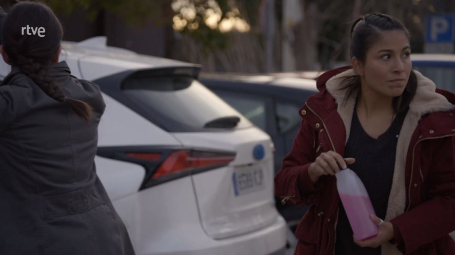 IMCDb.org: 2015 Lexus NX 300h [AZ10] in "Servir y proteger, 2017-2023"