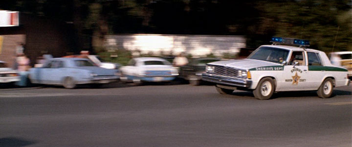 IMCDb.org: 1981 Chevrolet Malibu 9C1 in "Smokey and the Bandit Part 3 ...