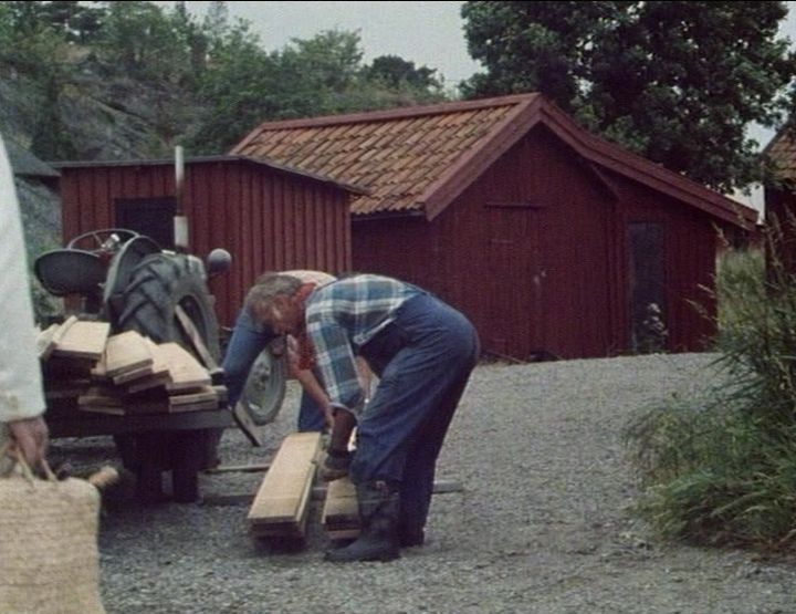 IMCDb.org: Ferguson TE 'Grålle' in "Dårfinkar & dönickar, 1988-1989"