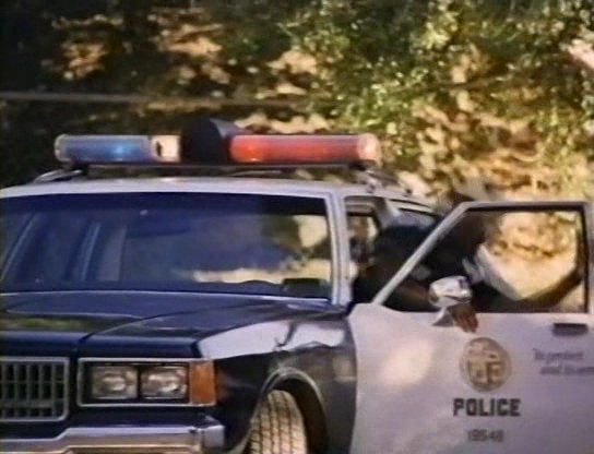 IMCDb.org: 1986 Chevrolet Caprice in "Cellblock Sisters, 1995"