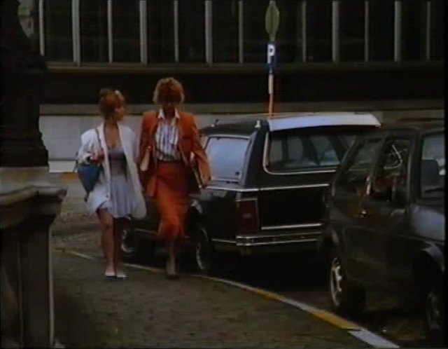 IMCDb.org: 1977 Chevrolet Caprice Estate in "Honneponnetje, 1988"