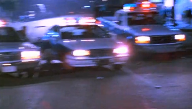 IMCDb.org: 1991 Chevrolet Caprice in "Freeway II: Confessions of a ...