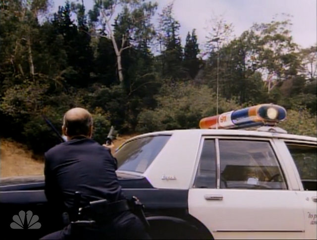IMCDb.org: 1980 Chevrolet Impala in "The New Adam-12, 1990-1991"